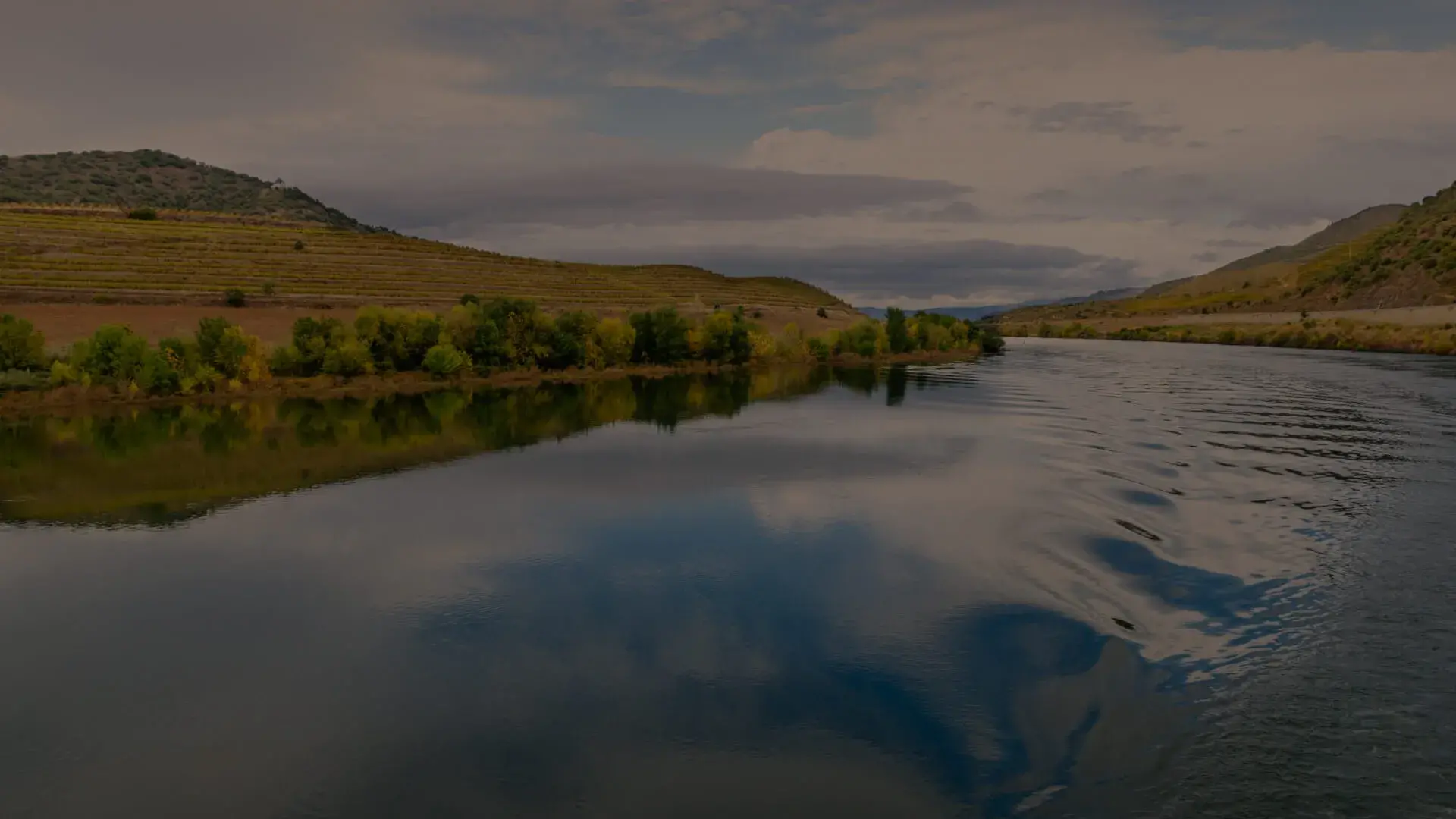 Our environment | Valdecuriel